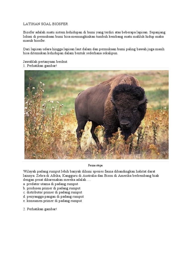 Soal Biosfer | PDF