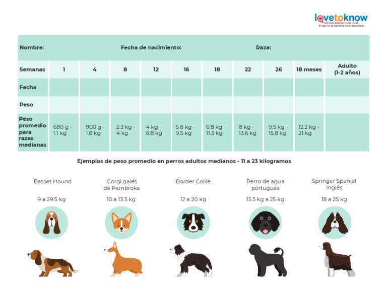 4177 Tabla Peso Cachorro Raza Mediana | PDF