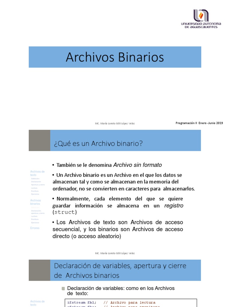 Archivos Binarios | PDF | Archivo de computadora | C