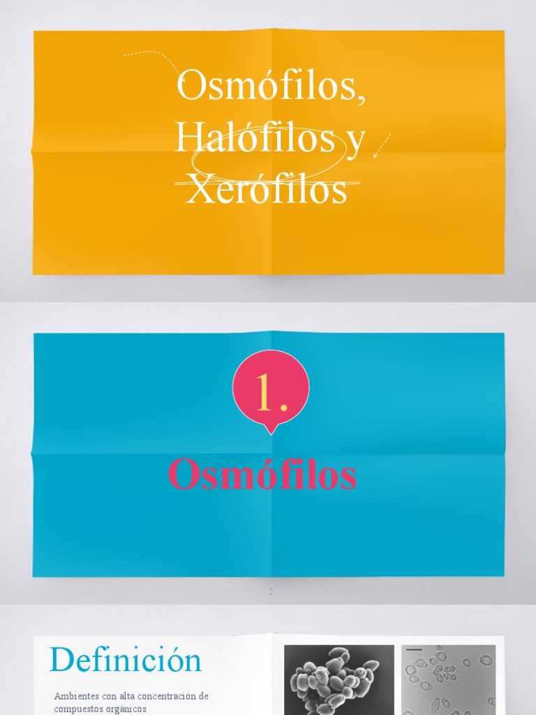 Microorganismos Xerófilos y Halófilos | PDF | Alimentos | Las bacterias