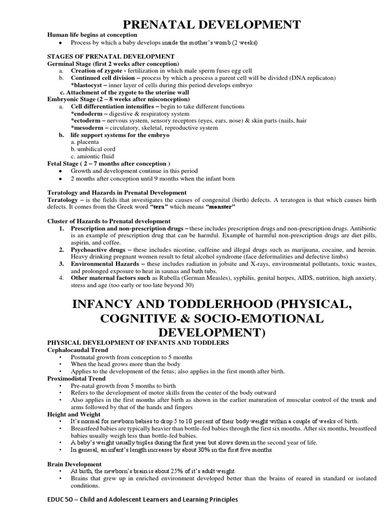 Prenatal Development: EDUC 50 - Child and Adolescent Learners and ...
