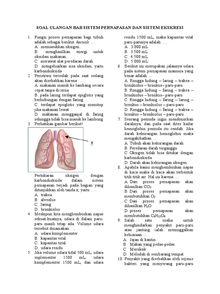 SOAL ULANGAN BAB SISTEM PERNAPASAN DAN SISTEM EKSKRESI Kelas 8 | PDF