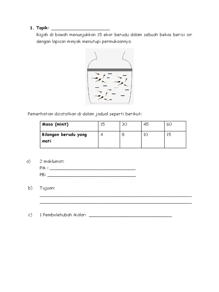 Contoh Soalan Kps | PDF