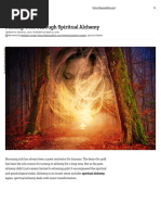 7 Stages of Alchemical Transformation | PDF | Alchemy | Distillation