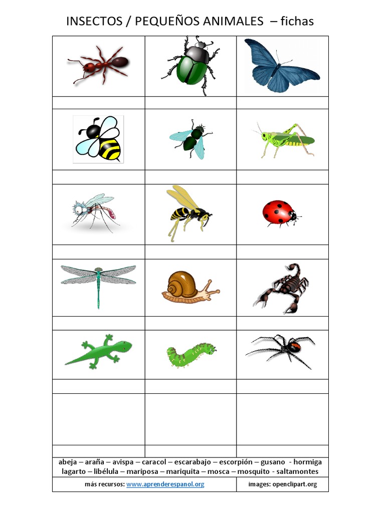 Insectos Animales Pequenos | PDF