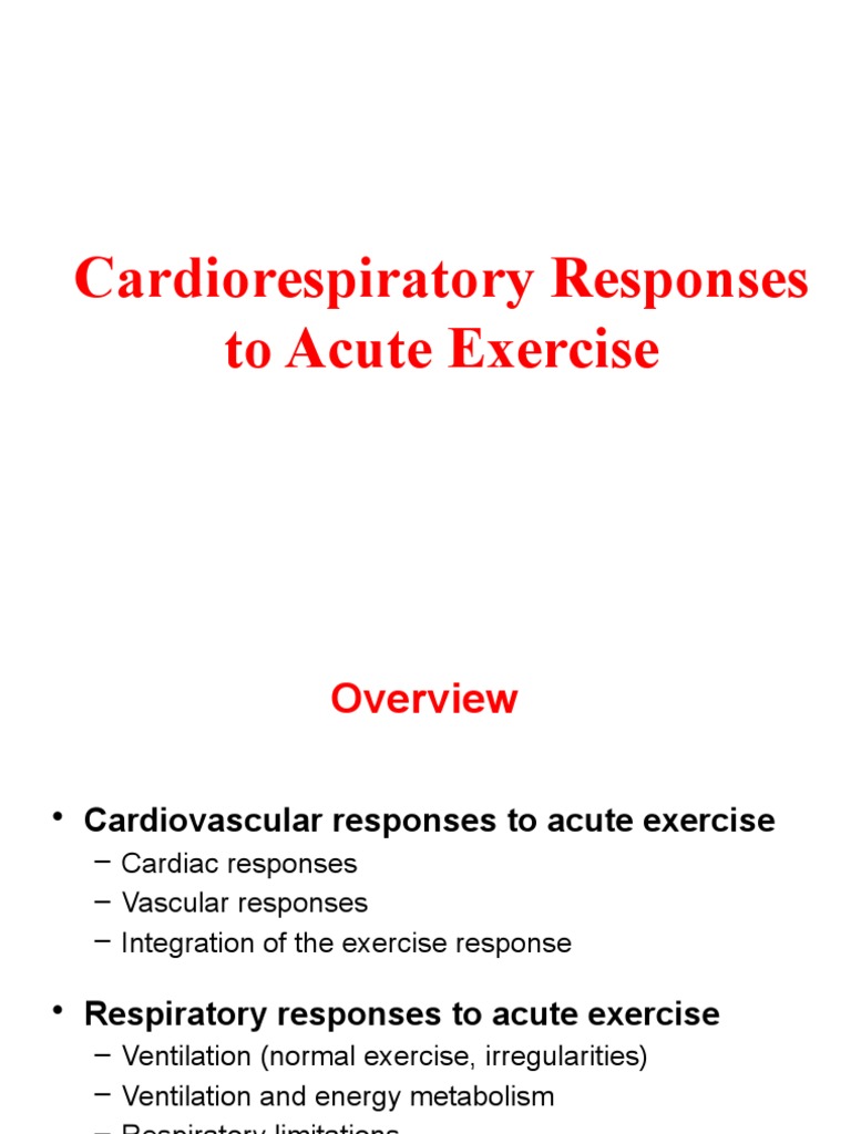 Cardiorespiratory Responses To Acute Exercise | PDF | Breathing | Heart ...