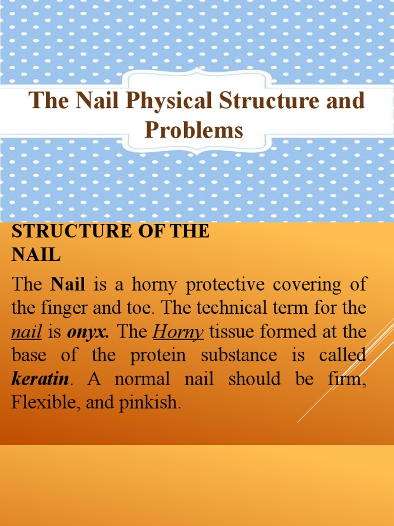 The Nail Physical Structure and Problems | PDF | Nail (Anatomy) | Foot
