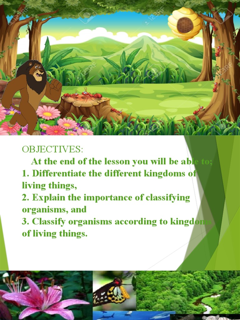 Taxonomy and Classification of Life | PDF