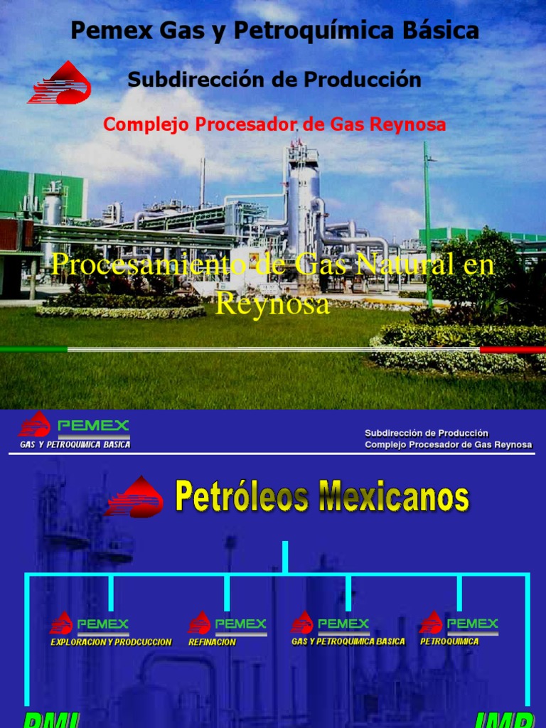 Pemex Gas y Petroquimica | PDF | Gas natural | Vapor