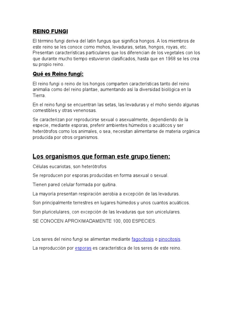 Reino Fungi | PDF | Hongo | Biología