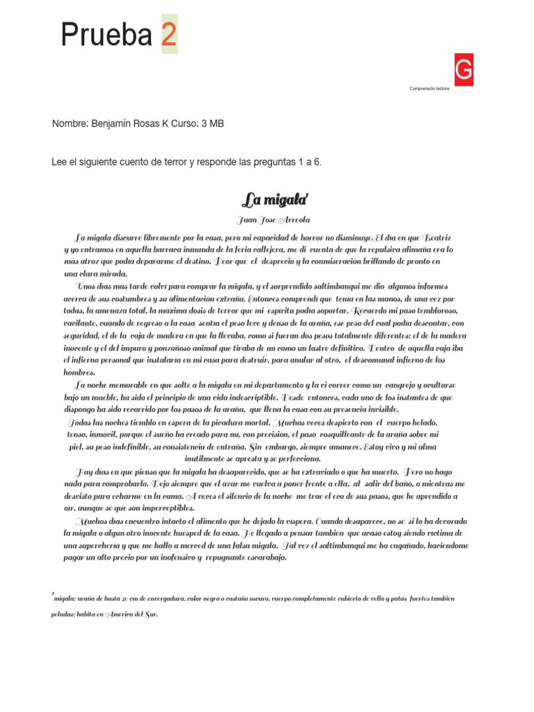 Evaluación Lectópolis | PDF | Libros para adolescentes | Ficción general