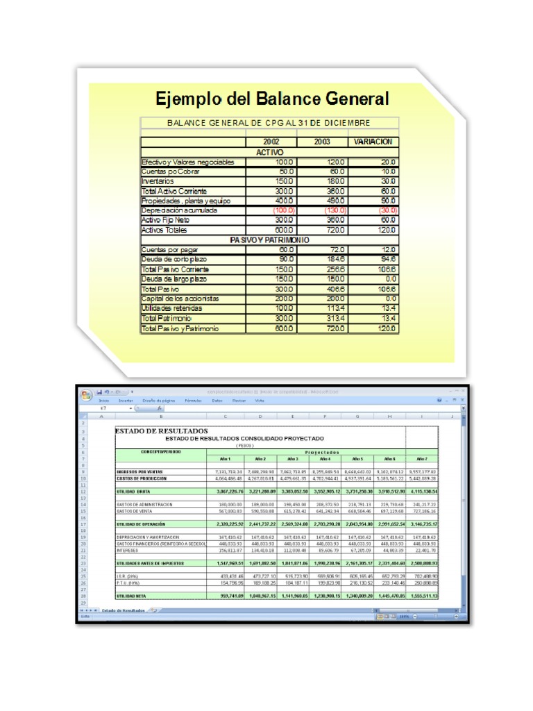 Formato de Balance General y de Estado de Resultados | PDF