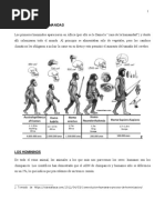 Dryopithecus | PDF | Hominidae | Homo Sapiens