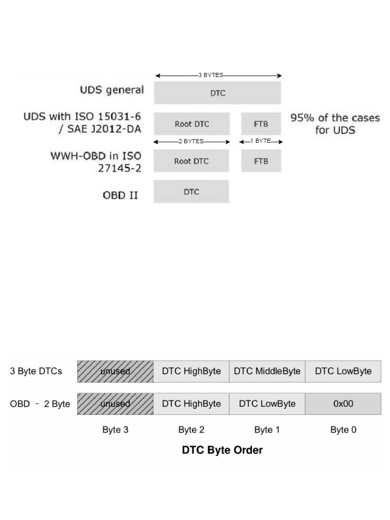 DTC Format | PDF