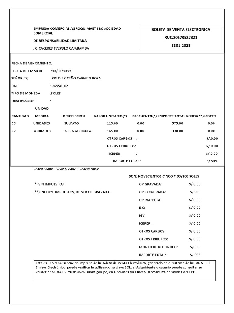 Boleta de Venta Electrónica Ejemplo | PDF