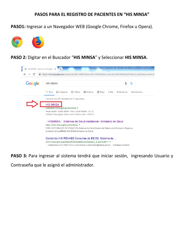 Guia His Minsa | PDF