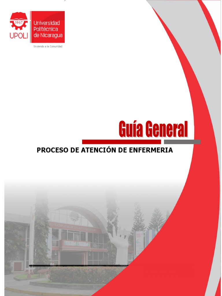 Guia General Pae | PDF | Enfermería | Evaluación