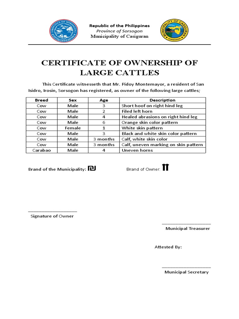 Certificate of Ownership for Large Cattles | PDF