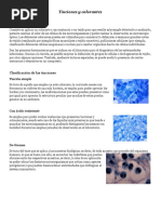 Tinciones Tipo Fundamento Finalidad Usos Gram: Tabla Comparativa: Tipos ...