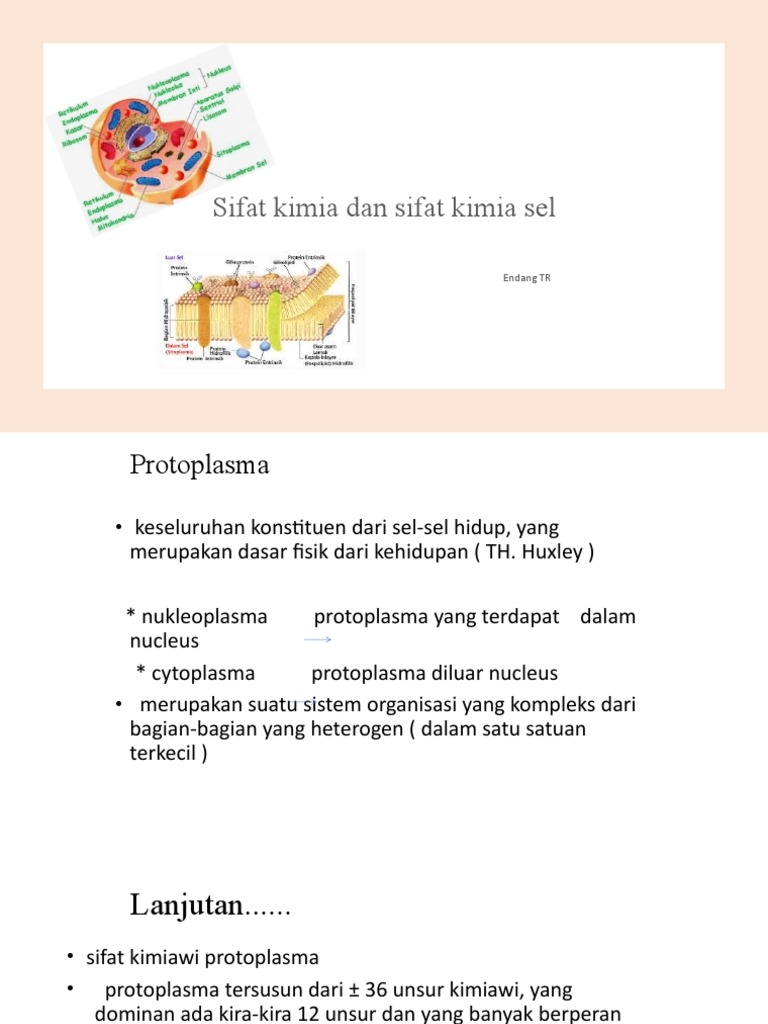 Sifat Kimia Dan Sifat Fisik Sel | PDF