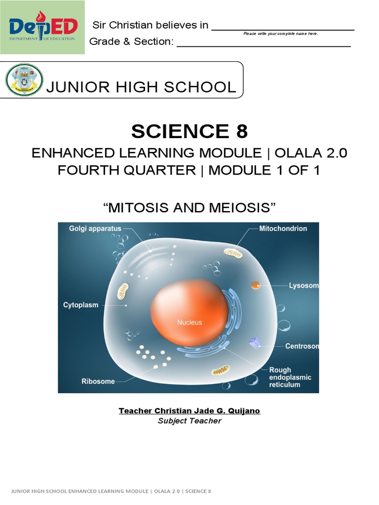 Grade 8 Science | PDF | Meiosis | Mitosis
