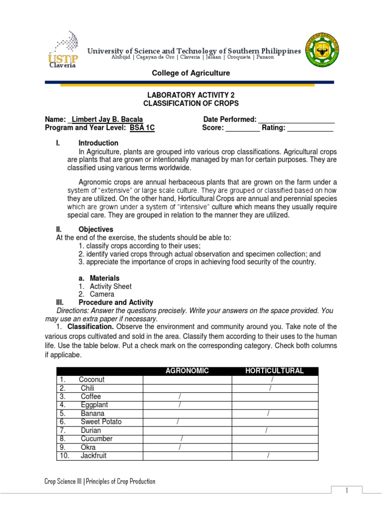 Lab Act 2 Classification of Crops | PDF | Fruit | Legume