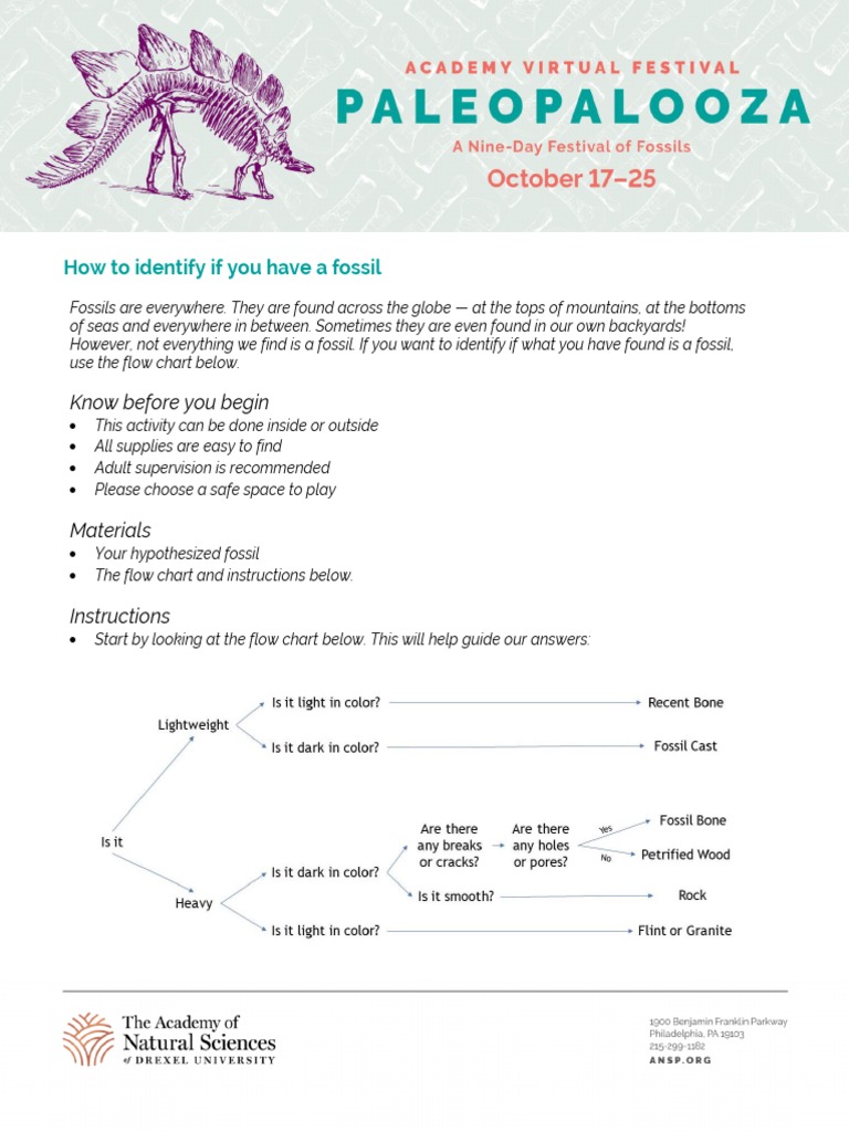 How To Identify If You Have A Fossil | PDF | Fossil | Paleontology