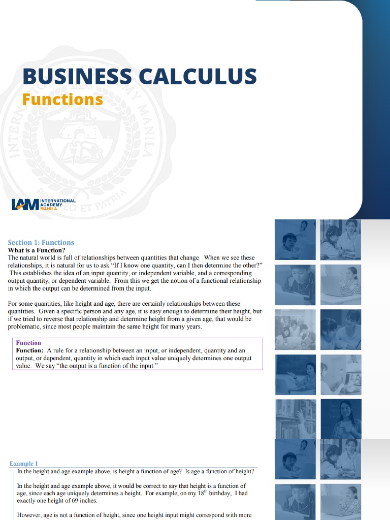 BUSINESS CALCULUS (Lesson 1) | PDF