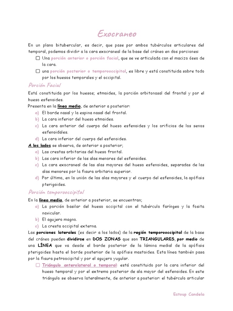 EXOCRANEO | PDF | Cabeza y cuello humanos | Sistema esquelético