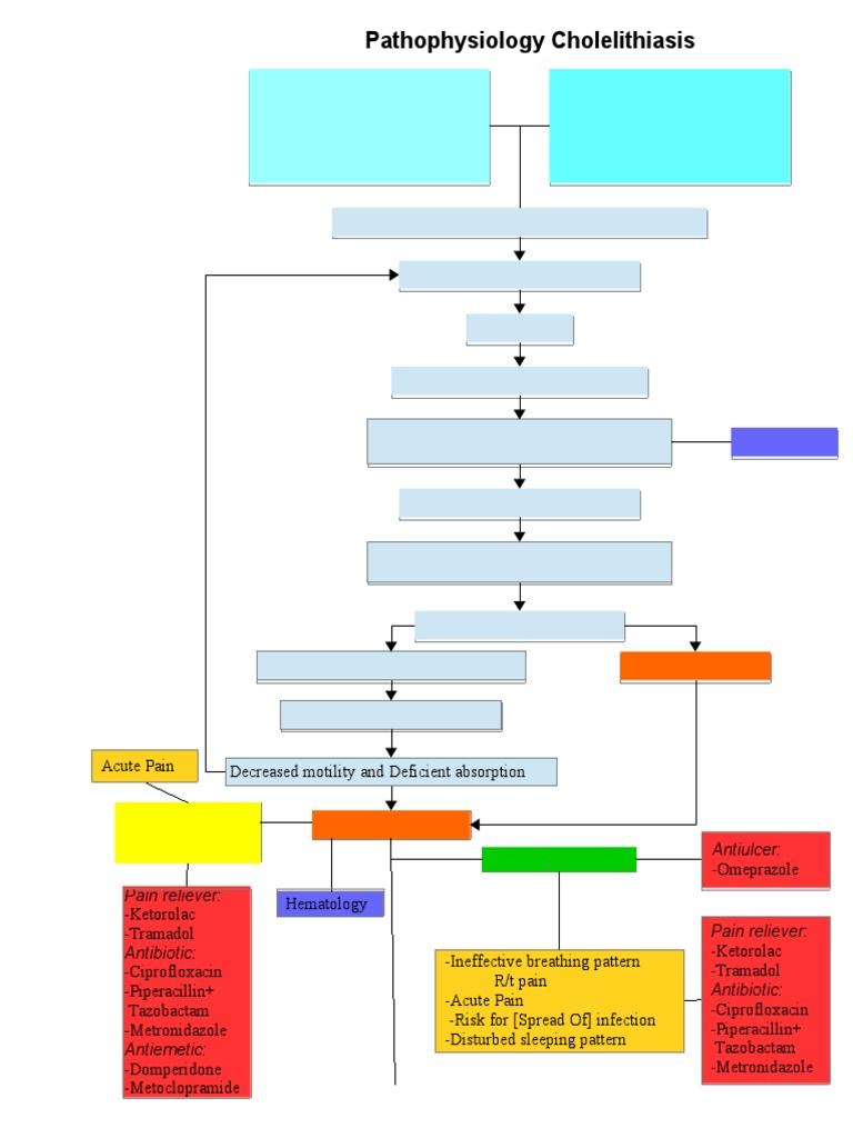 Pathophysiology Cholelithiasis 2 | PDF | Gallbladder | Gastroenterology
