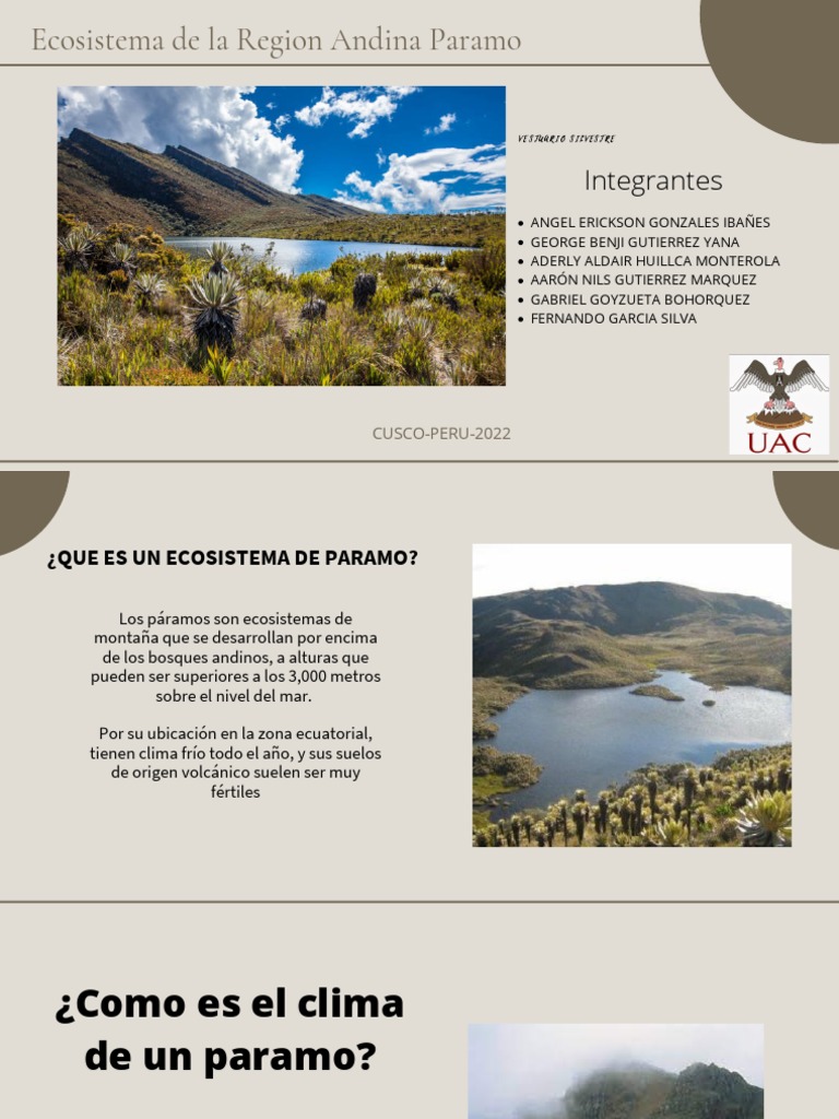Ecosistema y características del páramo | PDF | Ecosistema | Fenómenos ...