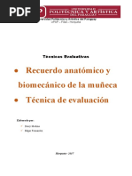 Visi Disi | PDF | Mano | Sistema musculoesquelético
