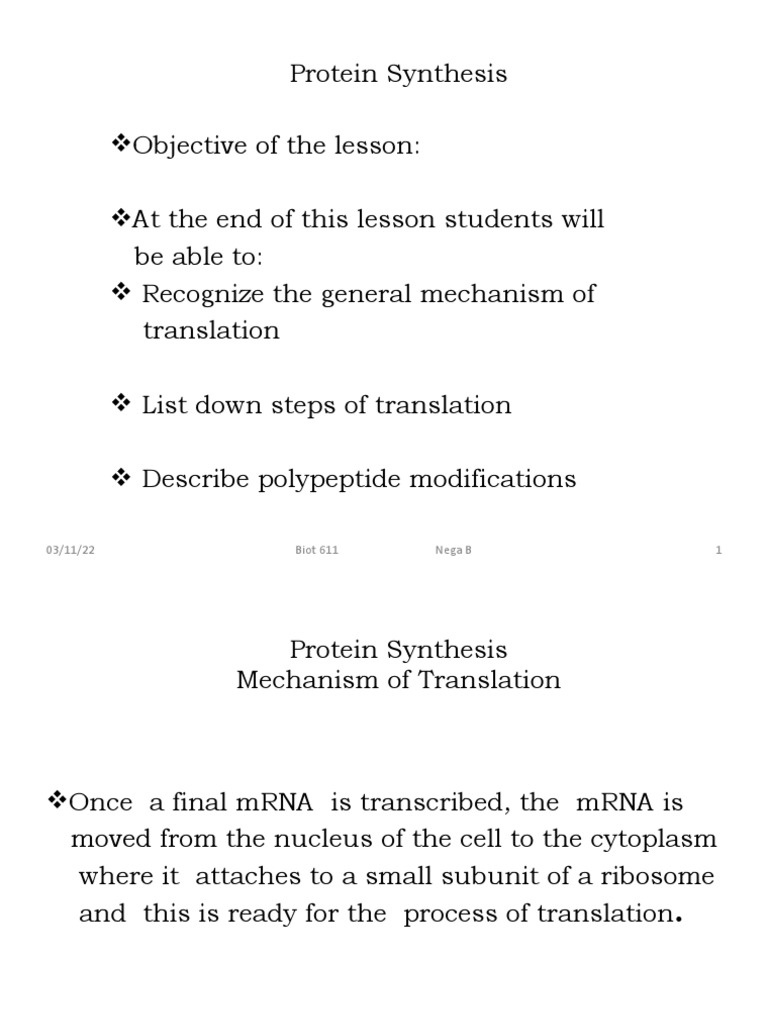 Protein Synthesis | PDF | Translation (Biology) | Ribosome