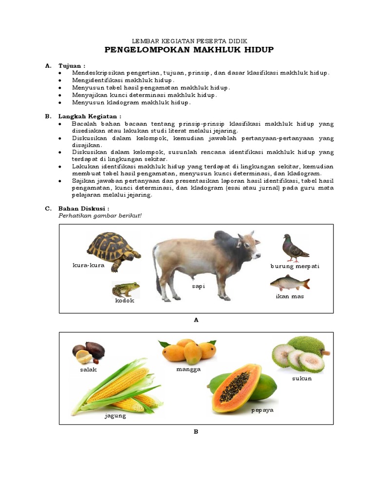 10.3 LKPD - Pengelompokkan Makhluk Hidup | PDF | Kajian Bahasa Asing ...