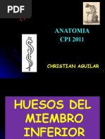 (Anatomía) Triángulos de Pirogoff y Béclard | PDF | Medicina CLINICA ...