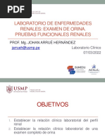Función Renal y Uroanálisis Detallado | PDF | Sistema urinario | Riñón