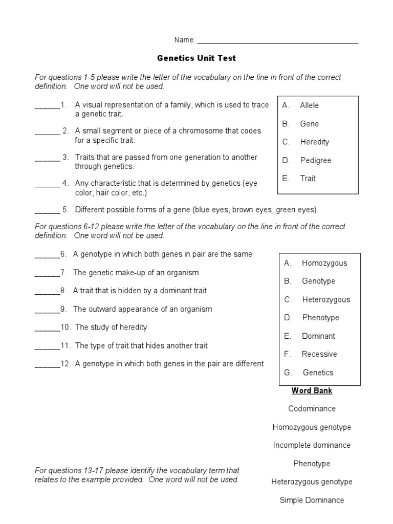 Genetics Unit Test | PDF | Dominance (Genetics) | Zygosity
