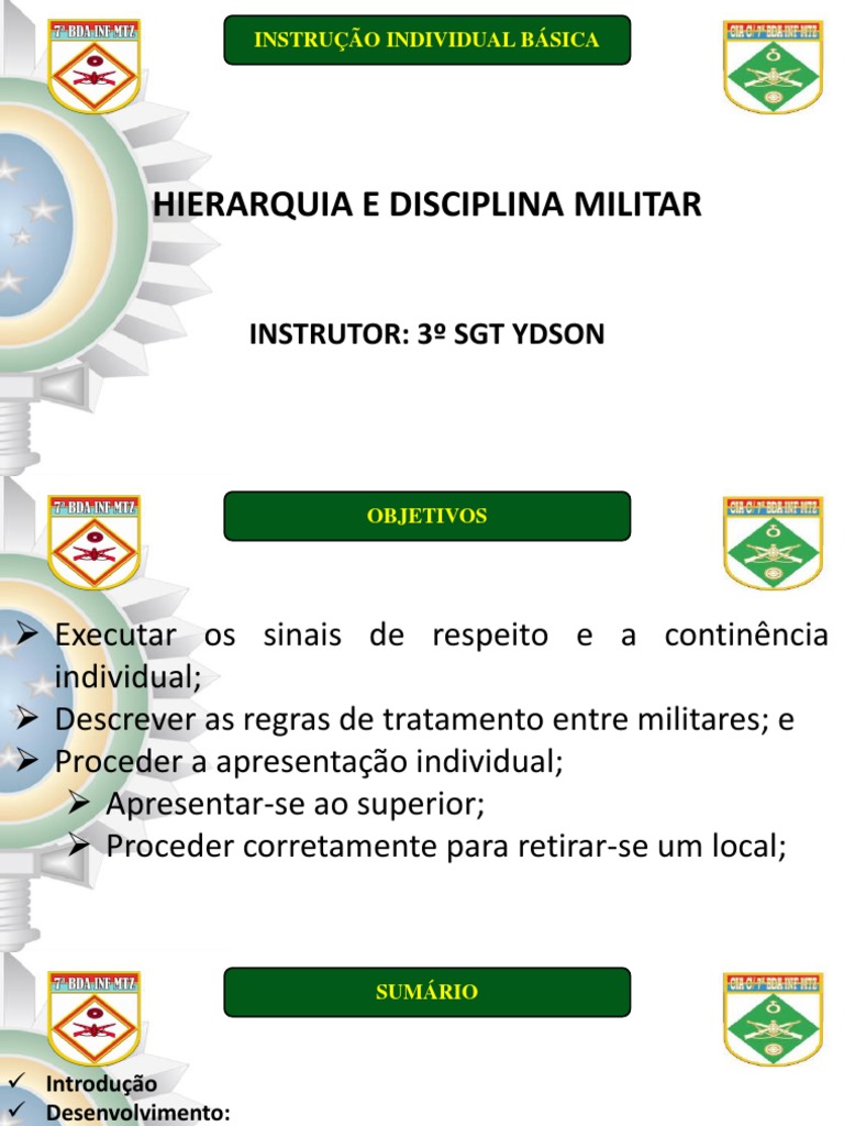 Hierarquia e Disciplina B-101 | PDF Hierarquia e Disciplina B-101 | PDF