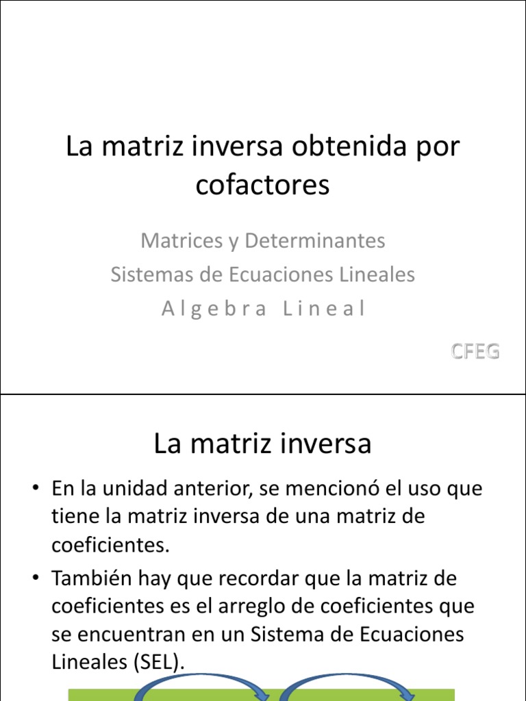 Inversa de Matrices por Cofactores | PDF | Matriz (Matemáticas ...