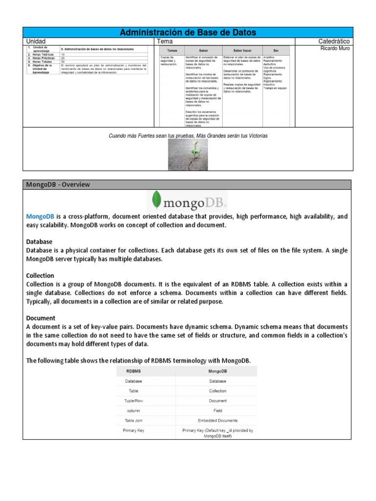 Crear Base de Datos Mongodb | PDF | Relational Database | Mongo Db