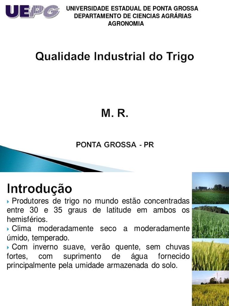 Qualidade Industrial Do Trigo | Download grátis PDF | Trigo | Glúten