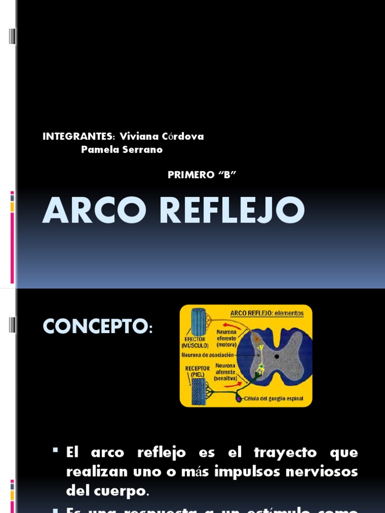 Arco Reflejo | PDF