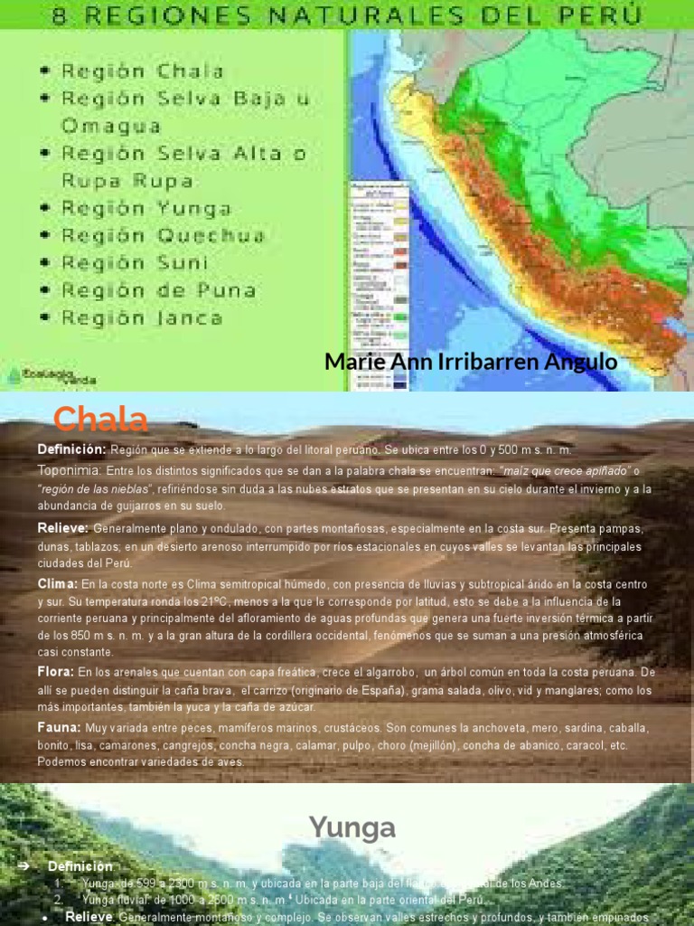 Las 8 Regiones Del Perú | PDF | Geografía Física | Ciencias de la Tierra
