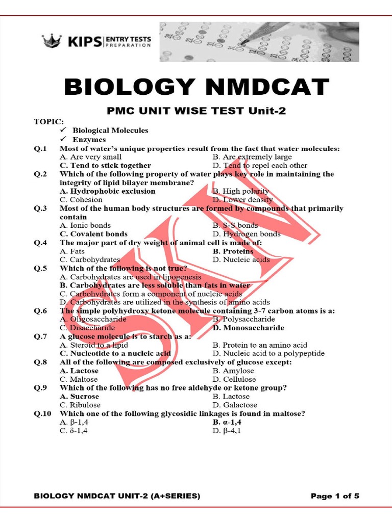 KIPS BIOLOGY UNIT 2 (Biological Molecules, Enzymes) CTS 1st SEP 2021 | PDF