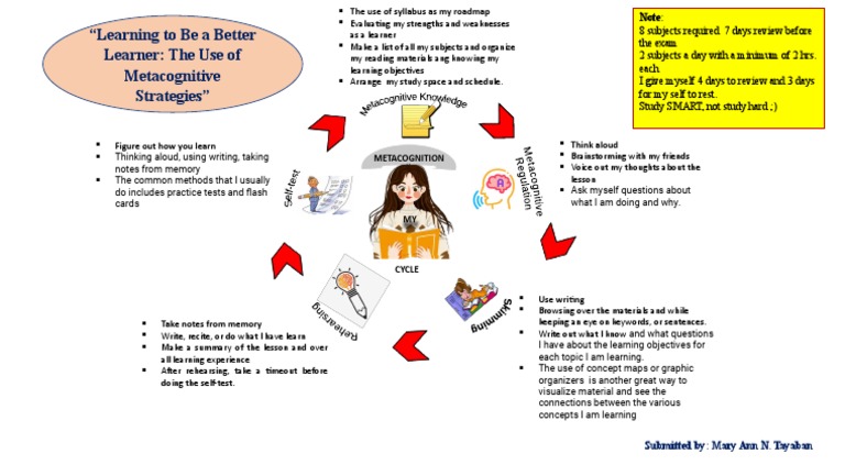 Assignment-Metacognitive Strategies | PDF