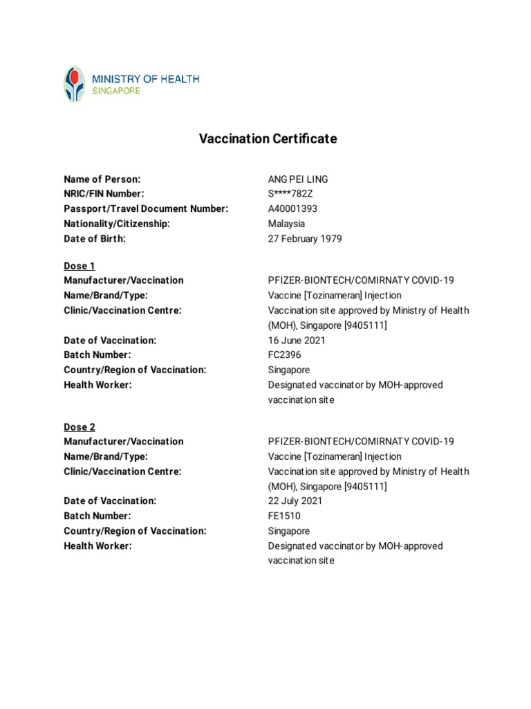 Verify Gov SG | Download Free PDF | Vaccines | Biotechnology