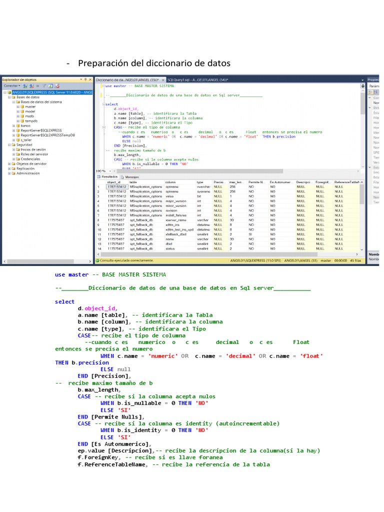 Diccionario de Datos en SQL Server | PDF | Datos de computadora | Recuperación de información