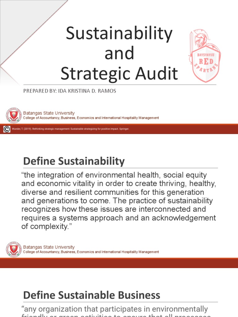Intro - Sustainability and Strategic Audit | PDF | Sustainability ...