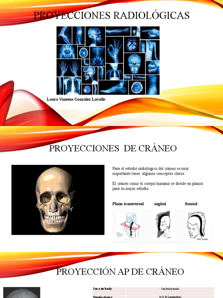 Proyecciones Radiológicas | PDF