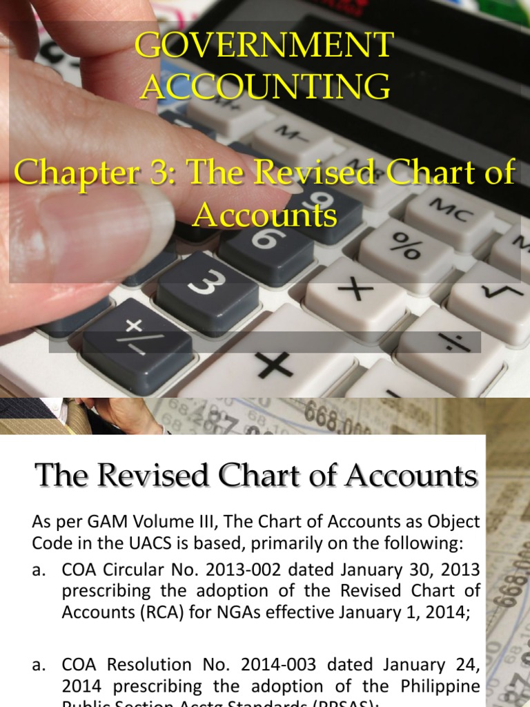 CHAPTER 3 - The Revised Chart of Accounts | PDF | Debits And Credits ...